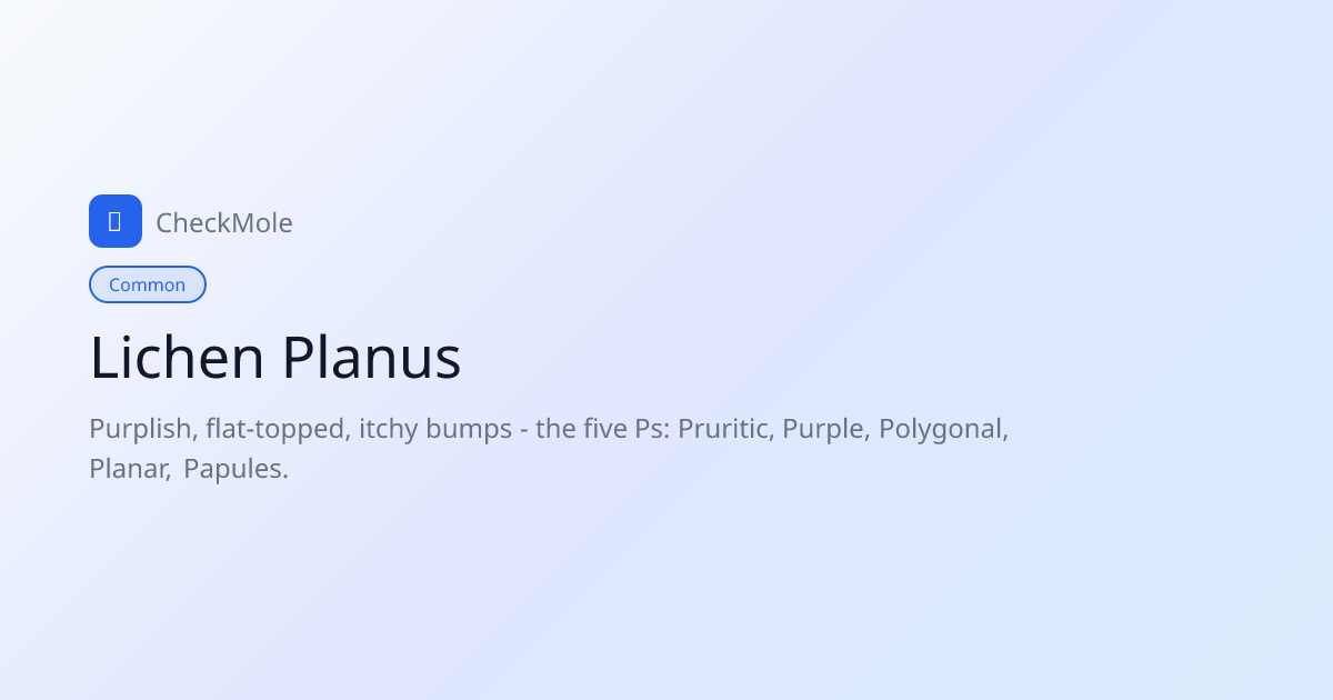 Lichen Planus: Purple Itchy Bumps - The Five Ps Explained - CheckMole